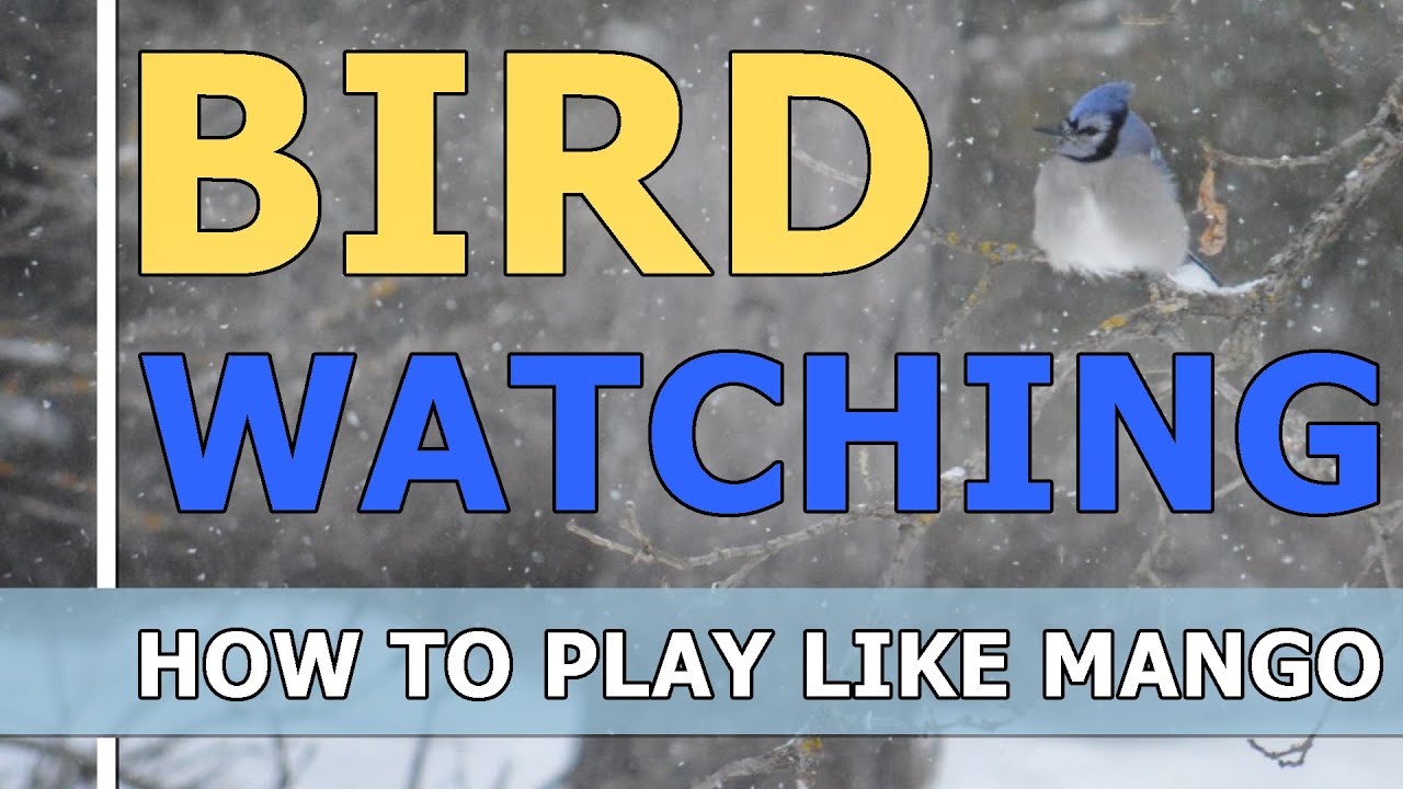 How to play like Mango - Bird Watching (ft. Squid) - YouTube