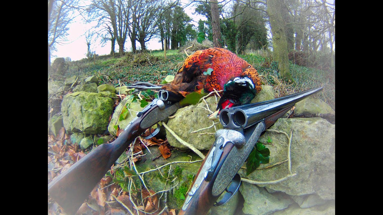 Hunting season Ireland 20/21 - YouTube