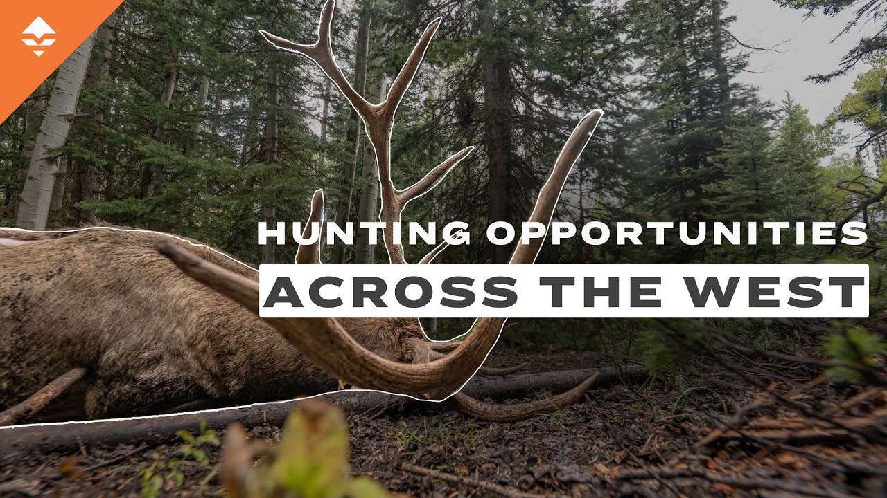 Find Hunting Opportunities Easy Across the West - YouTube