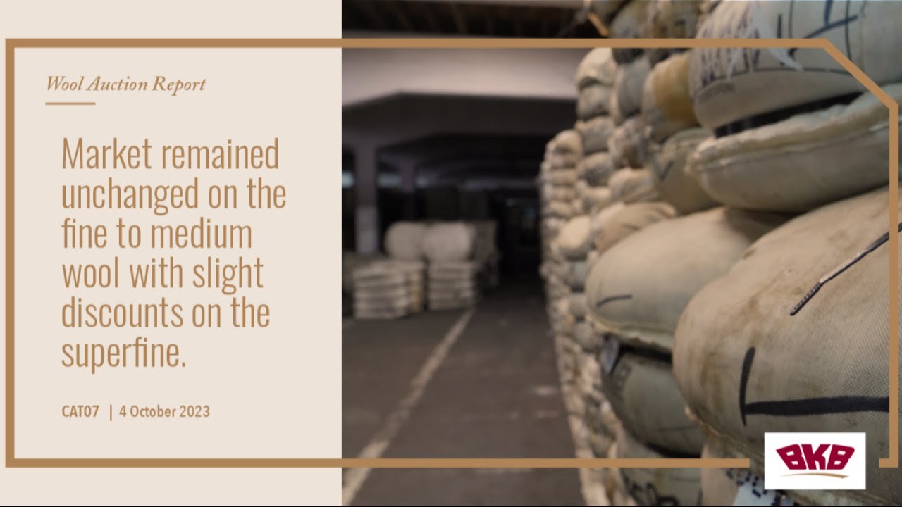 BKB Wool Market Report Catalogue CAT07 | 4 October 2023 - YouTube