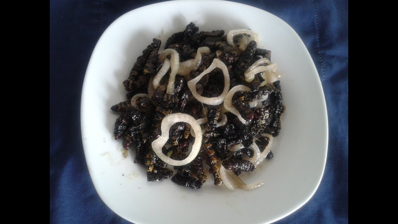 COMO FAZER CATATO - YouTube