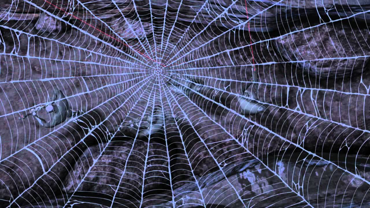 TFP: Silas Meets Airachnid : Crisscross - YouTube