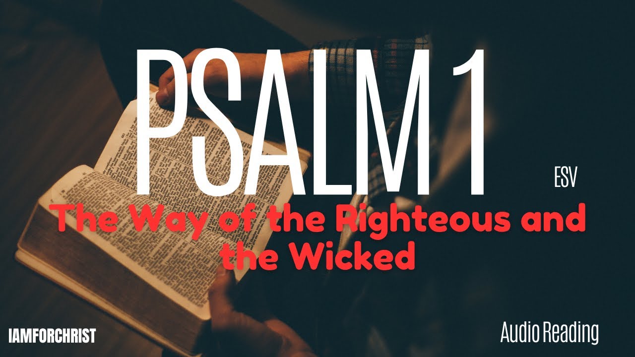 PSALM 1 ESV - The Way of the Righteous and the Wicked - Audio Reading ...