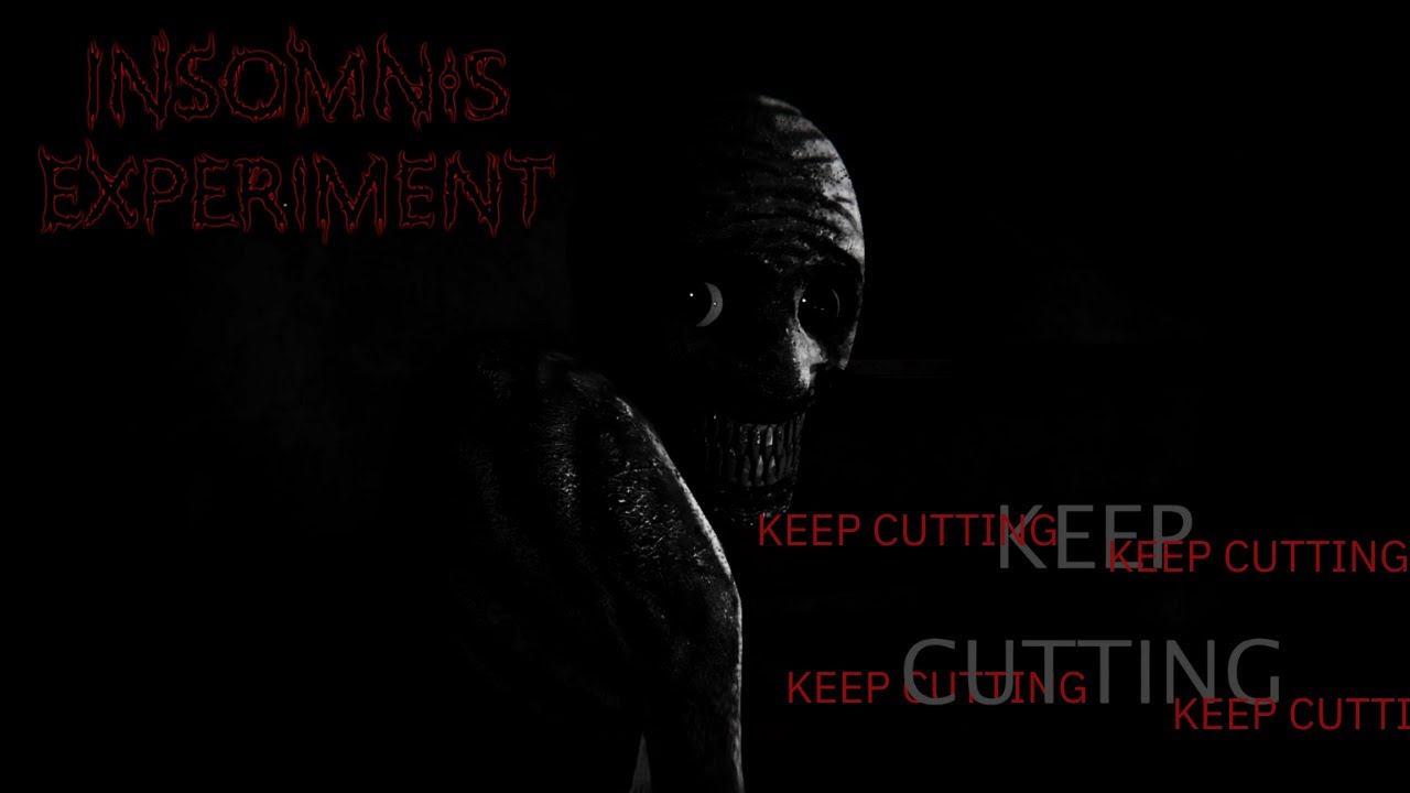 A TERRIFYING Game About THE RUSSIAN SLEEP Experiment || Insomnis ...