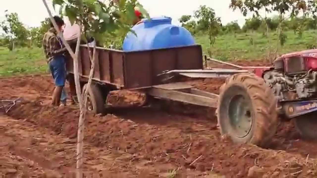 Spraying Mango Farm - YouTube