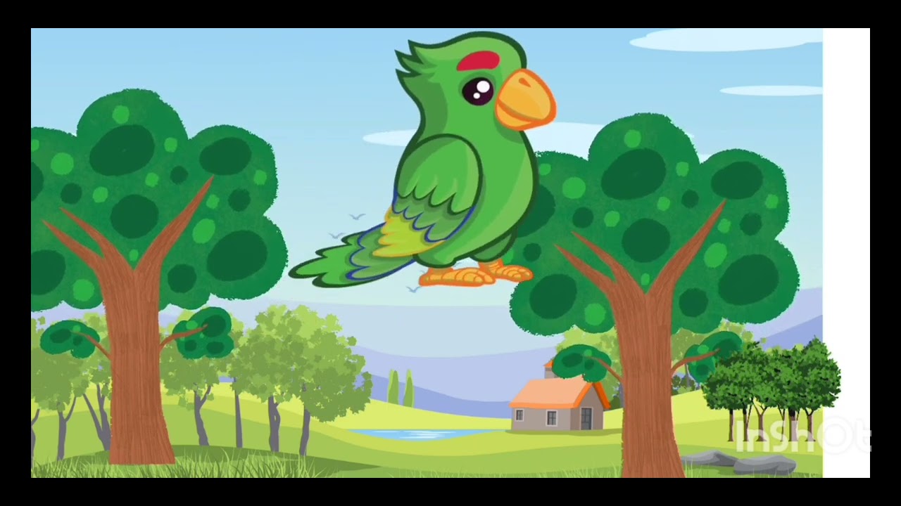 parrot poem - YouTube