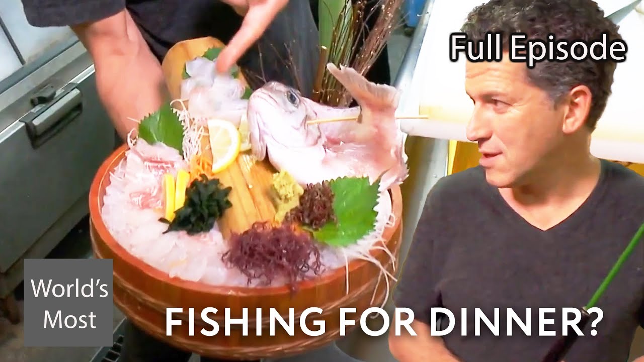 Eat what you can Cath | Full Episode | World's Weirdest Restaurants ...