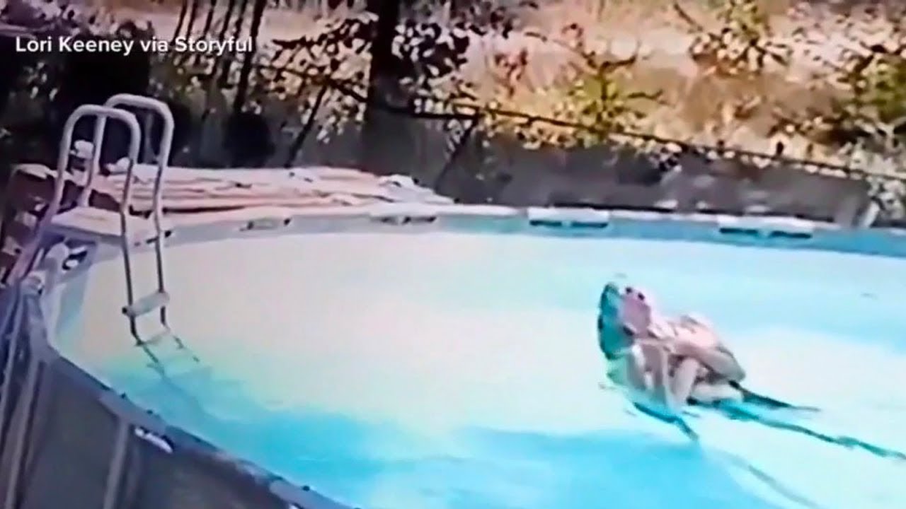 10-year-old boy saves mom from drowning as she suffered seizure in pool ...