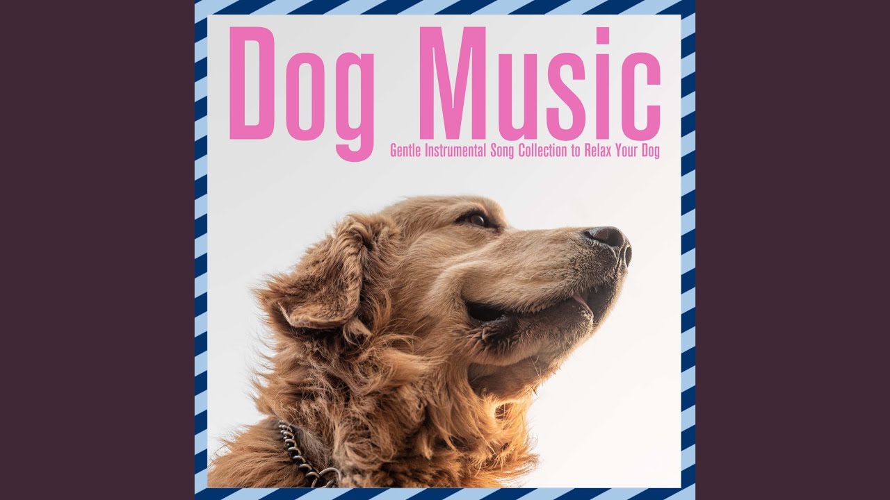 Pet Playlist - YouTube