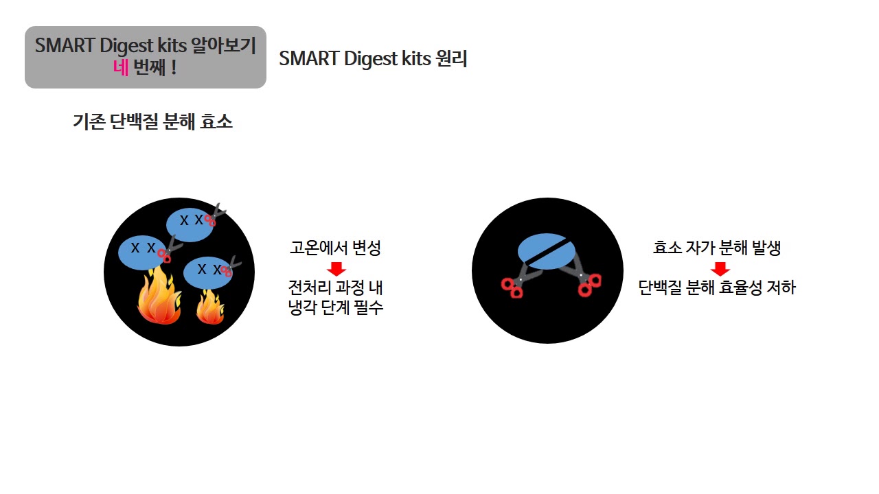 [지더블유바이텍] 효율적인 펩타이드 맵핑을 위한 똑똑한 선택 ! 단백질 분해 키트, SMART Digest Kits - YouTube