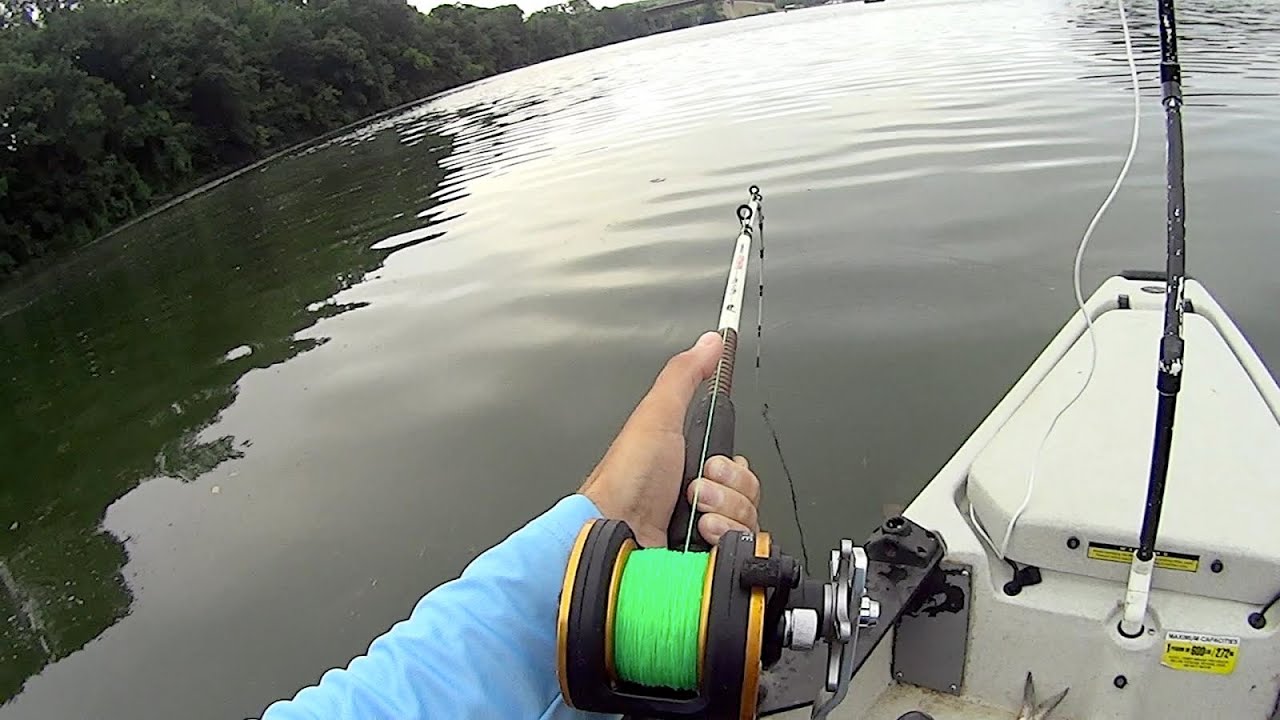 Ledge Drifting for Catfish - YouTube