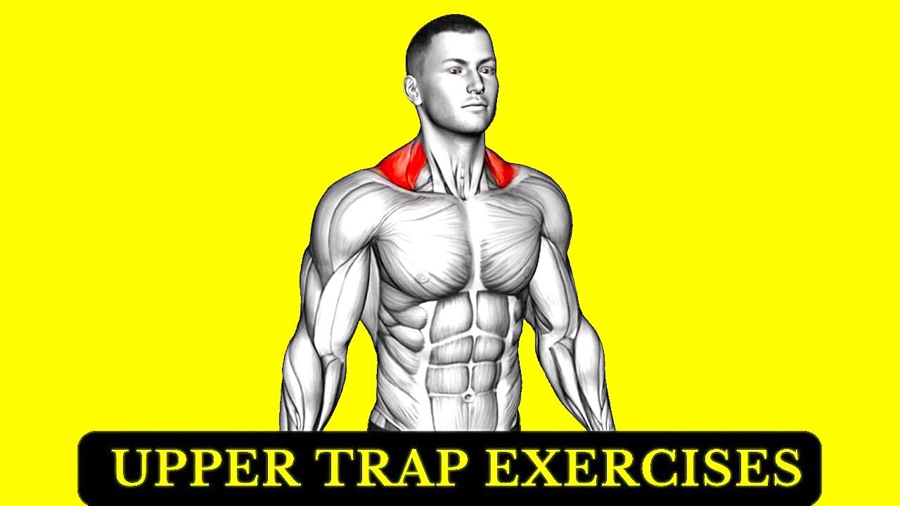 10 Best Exercises for Upper Trap Activation and Growth - YouTube