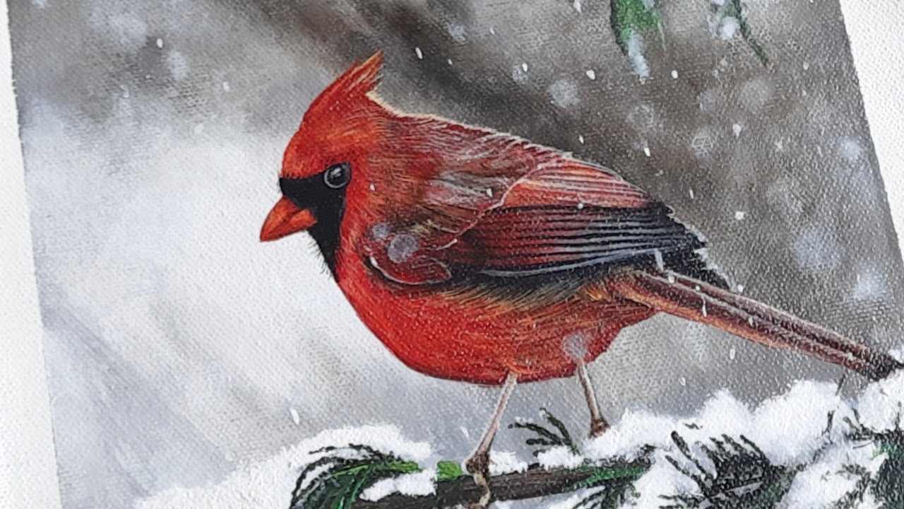 How to paint Cardinal Bird | Winter Cardinal Bird painting in Acrylic ...