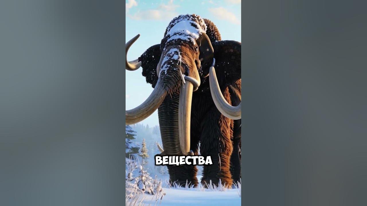 Вечная мерзлота как она влияет на климат факты лед