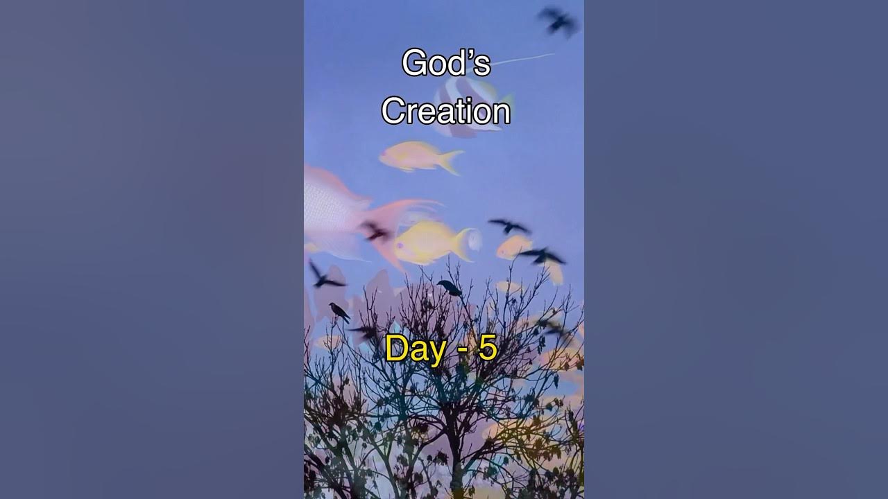 God’s Creation - Day 5 #bible #creation #universe #church #genesis # ...