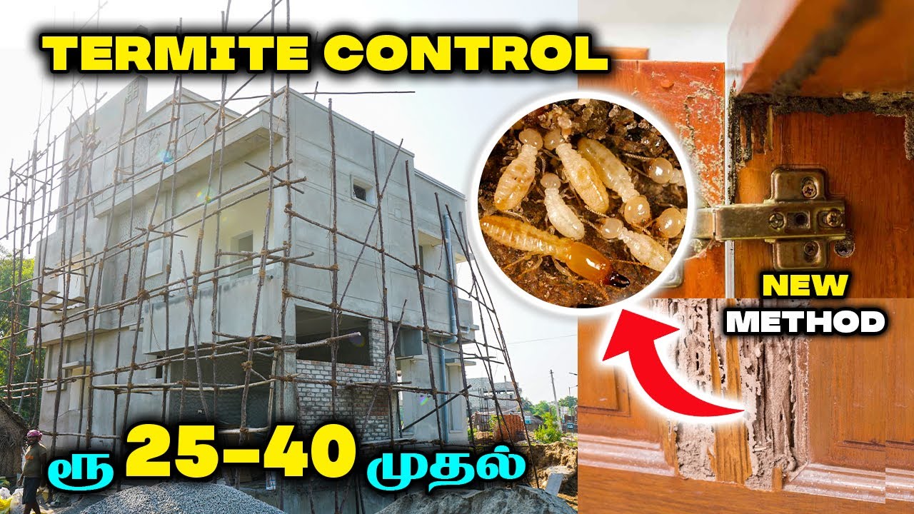 கரையான் தொல்லை இனி இல்லை | Termite Control Treatment in Home | - YouTube