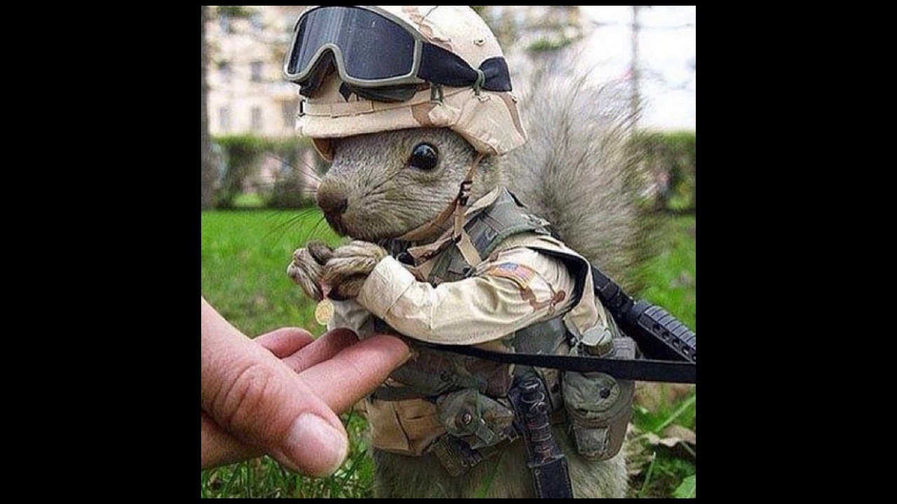 A Soldier's Memoir Joe Bachman chipmunk'd - YouTube