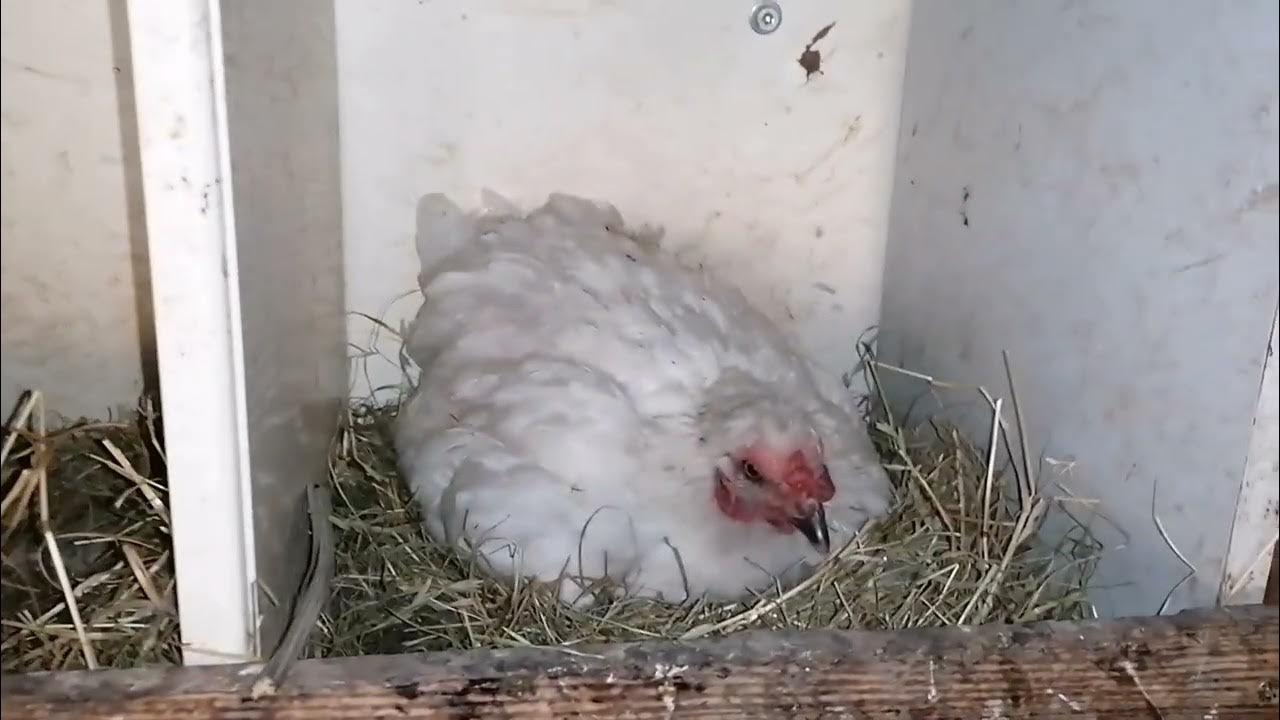Вот такое утро 😊 - YouTube
