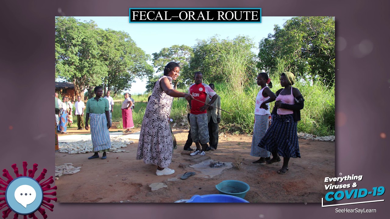 Fecal–oral route 🧫👩🏾‍⚕‍🤒 Everything Viruses & COVID-19 🤒👩‍⚕‍🧫 - YouTube