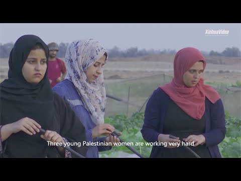 Arab girls struggle to make a living amid pandemic, dream of brighter future