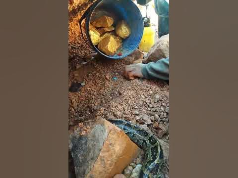 Digging up for Treasure worth million dollar from Huge Nuggets of Gold ...