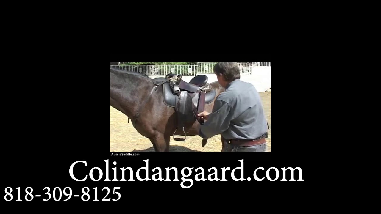 How To Do A Tackaberry Center Fire Cinch For Your Mule, Donkey 1 - YouTube