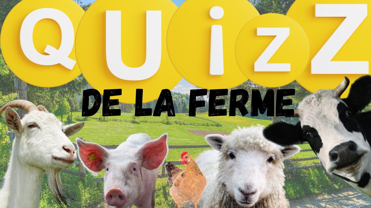 Animaux de la ferme : Quiz interactif pour petits et grands ! - YouTube