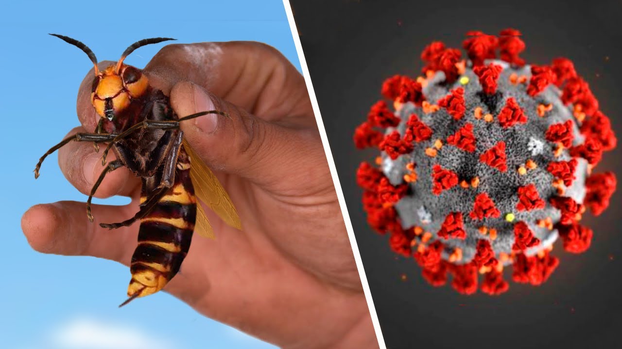 12 CRAZIEST Events Reported In 2020 - YouTube