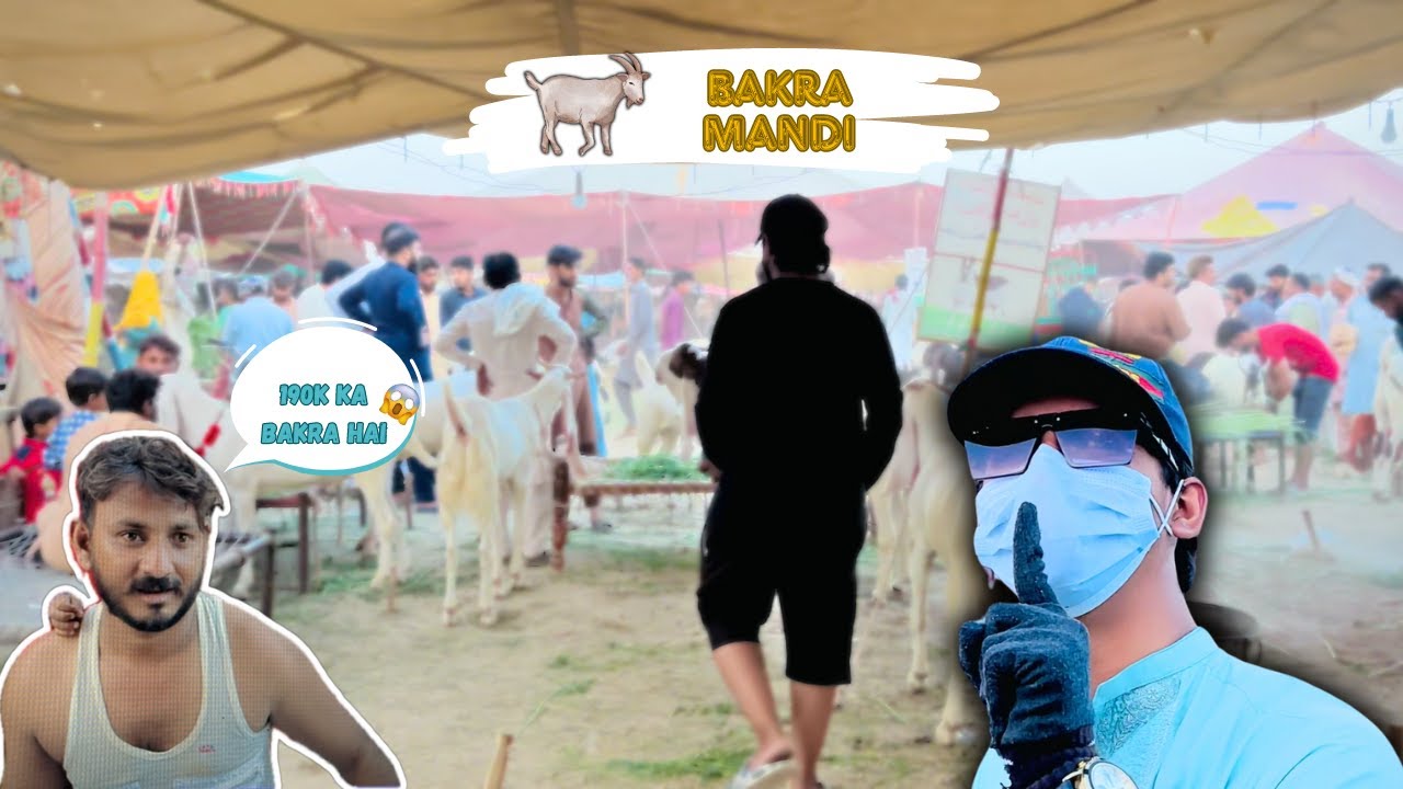 Mandi K Rates Abhi Tak High😱|| Bakra Mandi Faisalabad - YouTube
