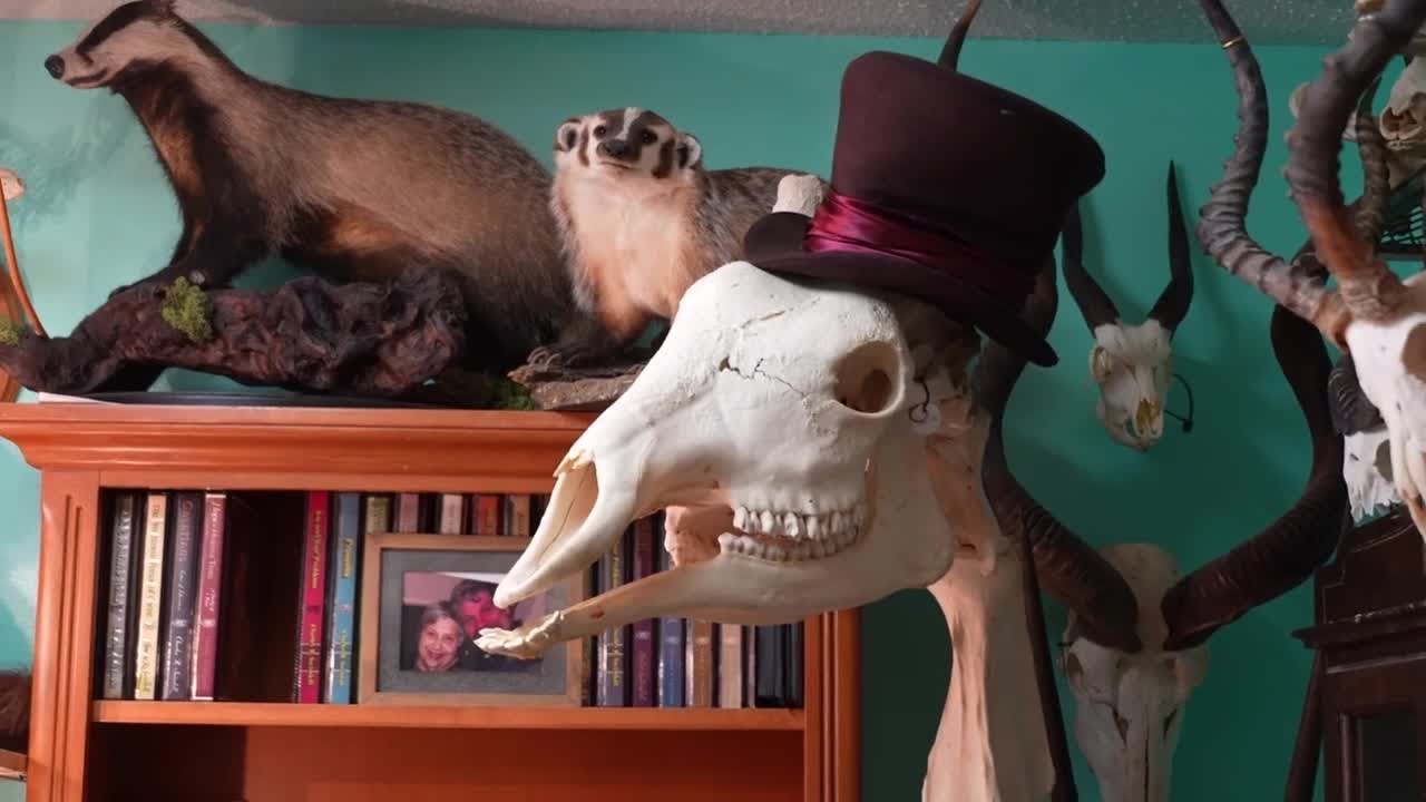Montana man has thousands of animals in his natural history collection ...