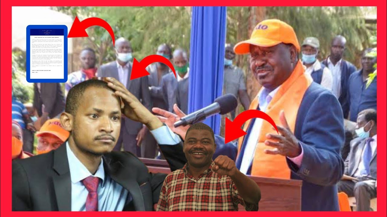 RAILA ODINGA EXPELS BABU OWINO & 27 OTHERS FROM ODM PARTY FOR SNUBBING ...