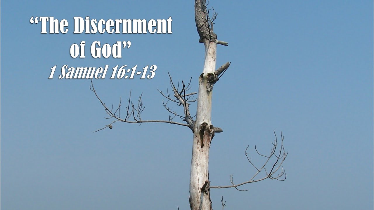 1 Samuel Series - Discussion 21: The Discernment of God (1 Samuel 16:1 ...