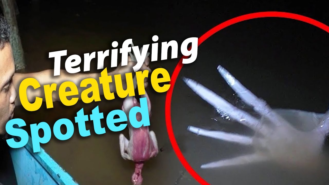 10 Unbelievable Swamp Monster Sightings - Real Footage - YouTube