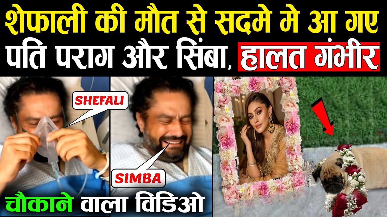 Hospitalized Parag Tyagi😭 shouted Wife Shefali Jariwala and Dog Simba's ...