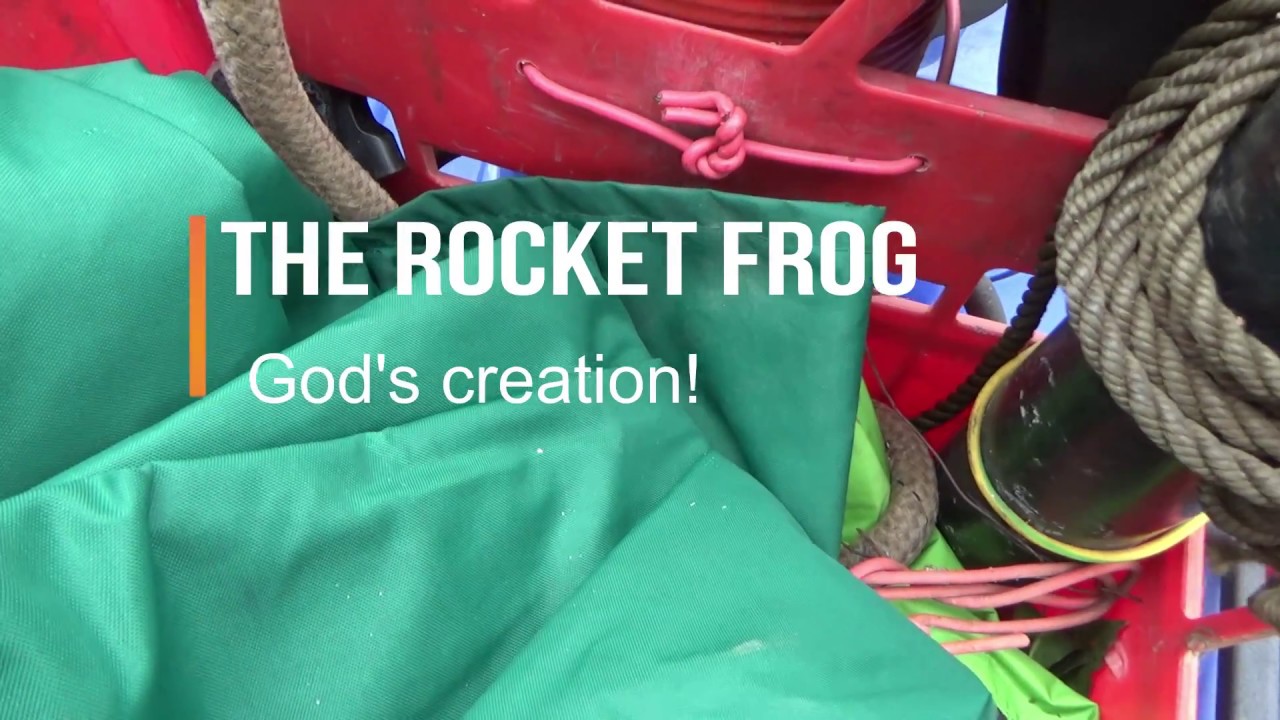 Rocket Frog - YouTube