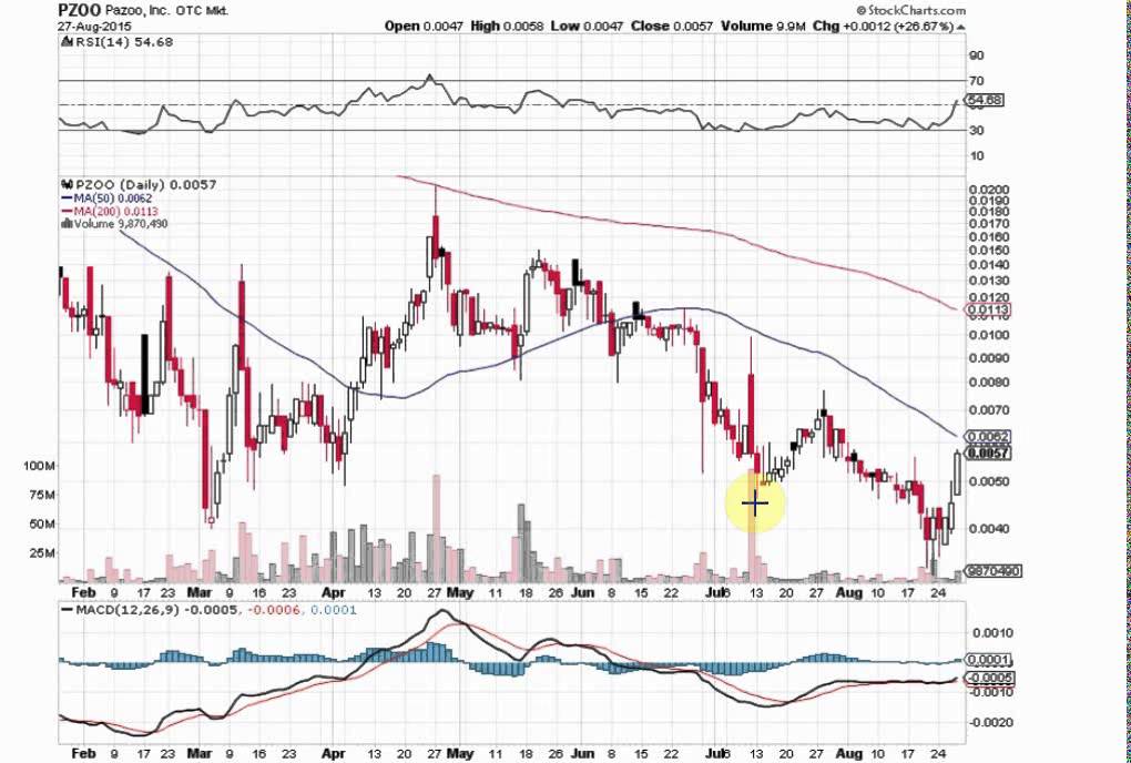 PZOO | Pazoo, Inc. | Video Chart for 08/28/15 by http ...