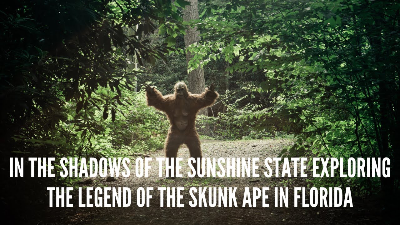 In the Shadows of the Sunshine State Exploring the Legend of The Skunk ...