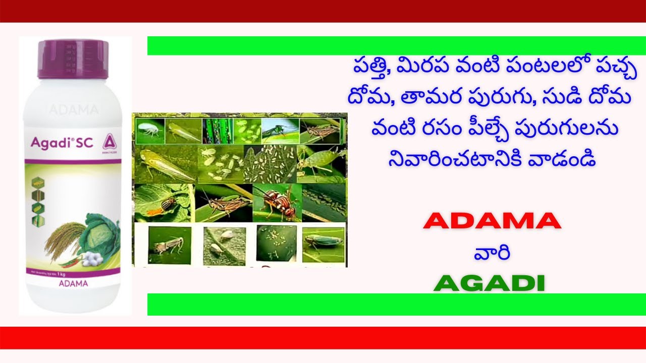 Adama Agadi Insecticide - YouTube