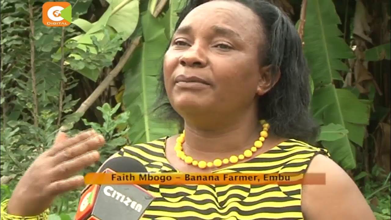 Smart Farm Women Group Found Niche In Banana Value Addition Youtube