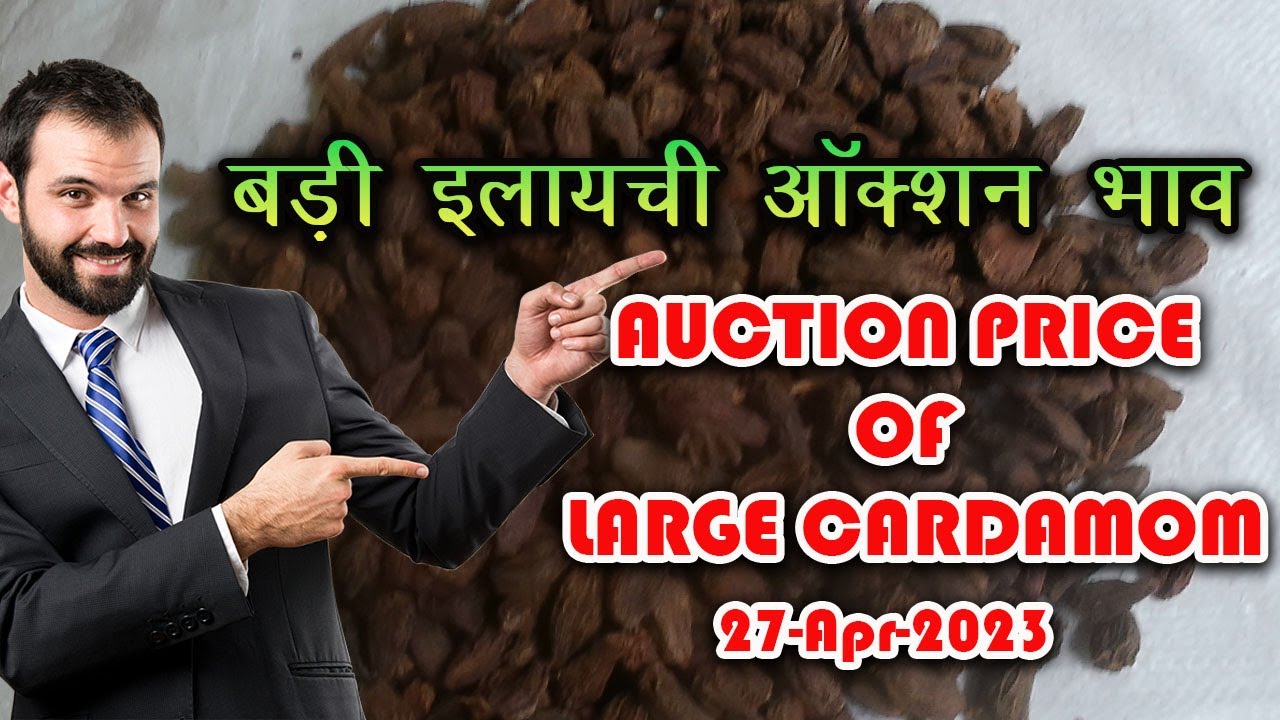 बड़ी इलायची ऑक्शन भाव | big cardamom auction price - YouTube