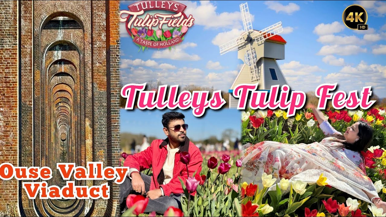 Tulleys Tulip Fest 2025 : THE UK'S NO.1 TULIP FESTIVAL - SUSSEX & Ouse ...