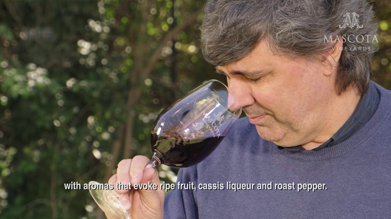 LA MASCOTA MAGNANIME - YouTube