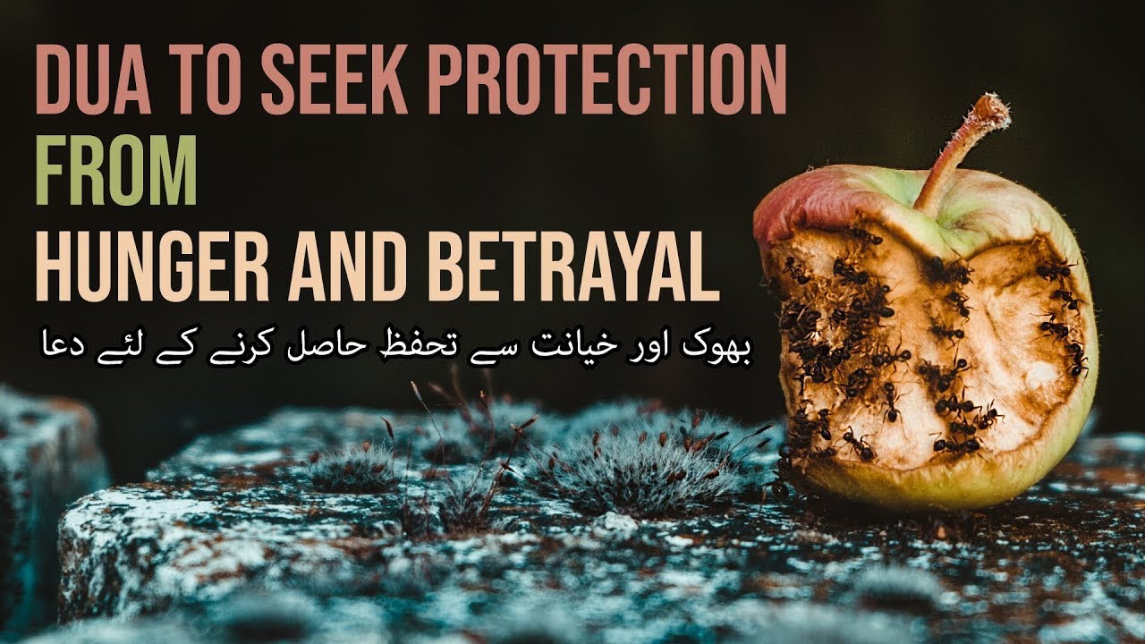 Bhook or Khayanat say Hifazt #shortreminders #Quran#Islam#Allah#dua # ...