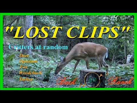 Lost clips that never got used! - YouTube