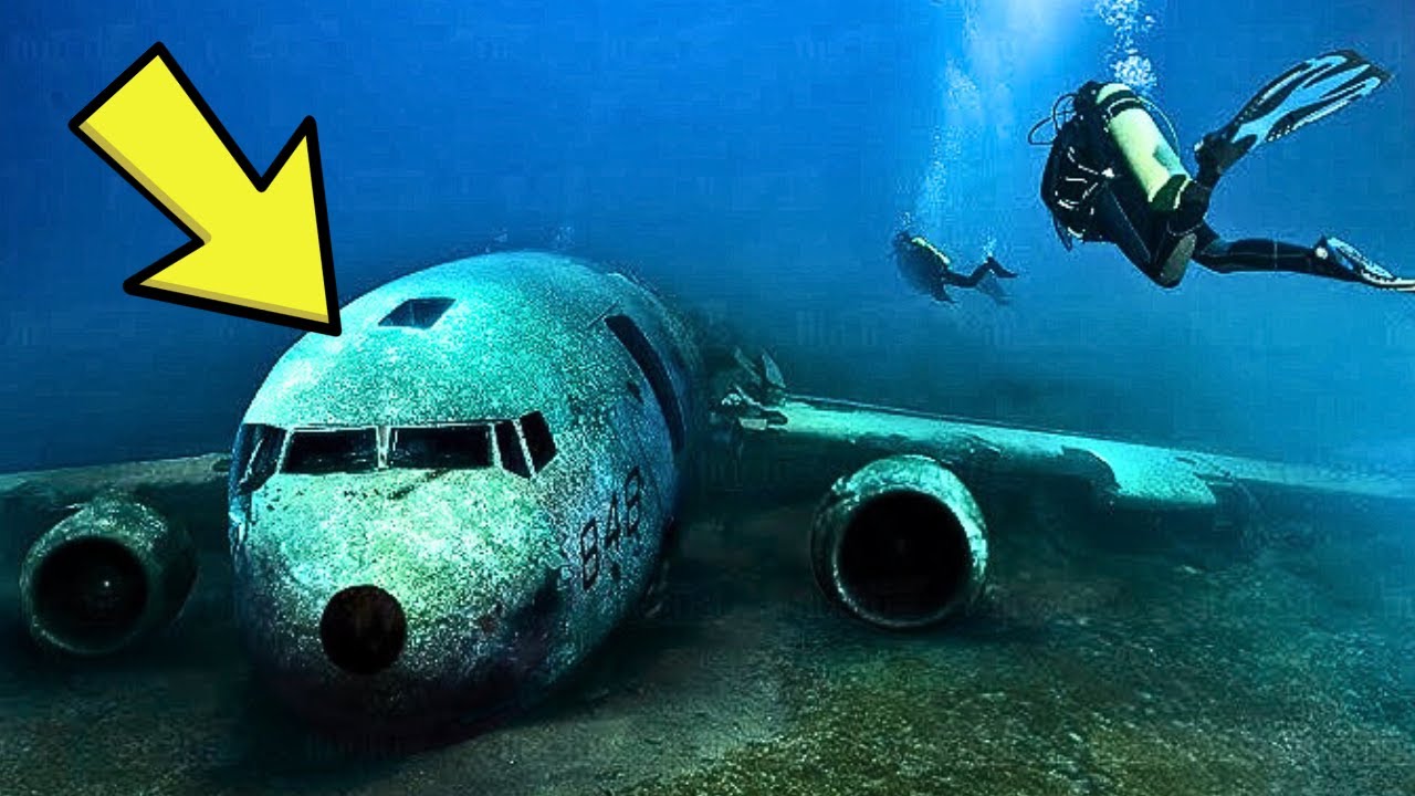 Divers Spot Sunken Plane On Ocean Floor, They Turn Pale After Swimming ...