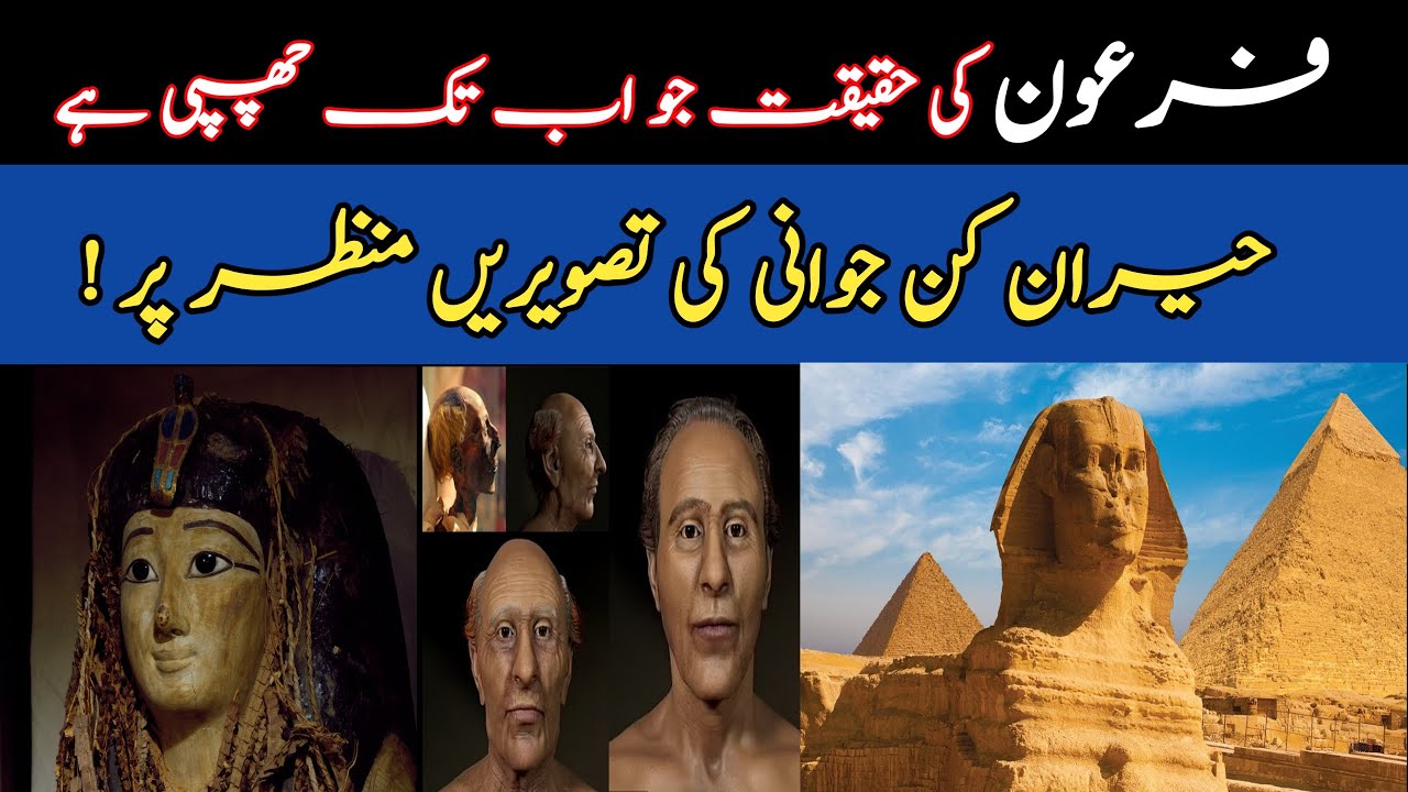 Firoun History and Short story New Pictures |Pharaoh Shorts story in ...