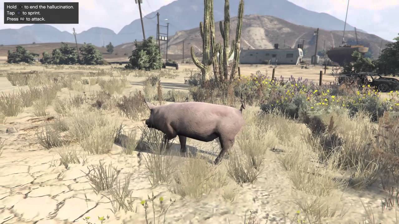 Grand Theft Auto V_pig - YouTube