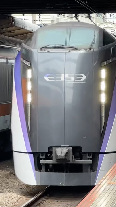 西八王子を高速通過するE353系（2025.3.28.13:05） - YouTube