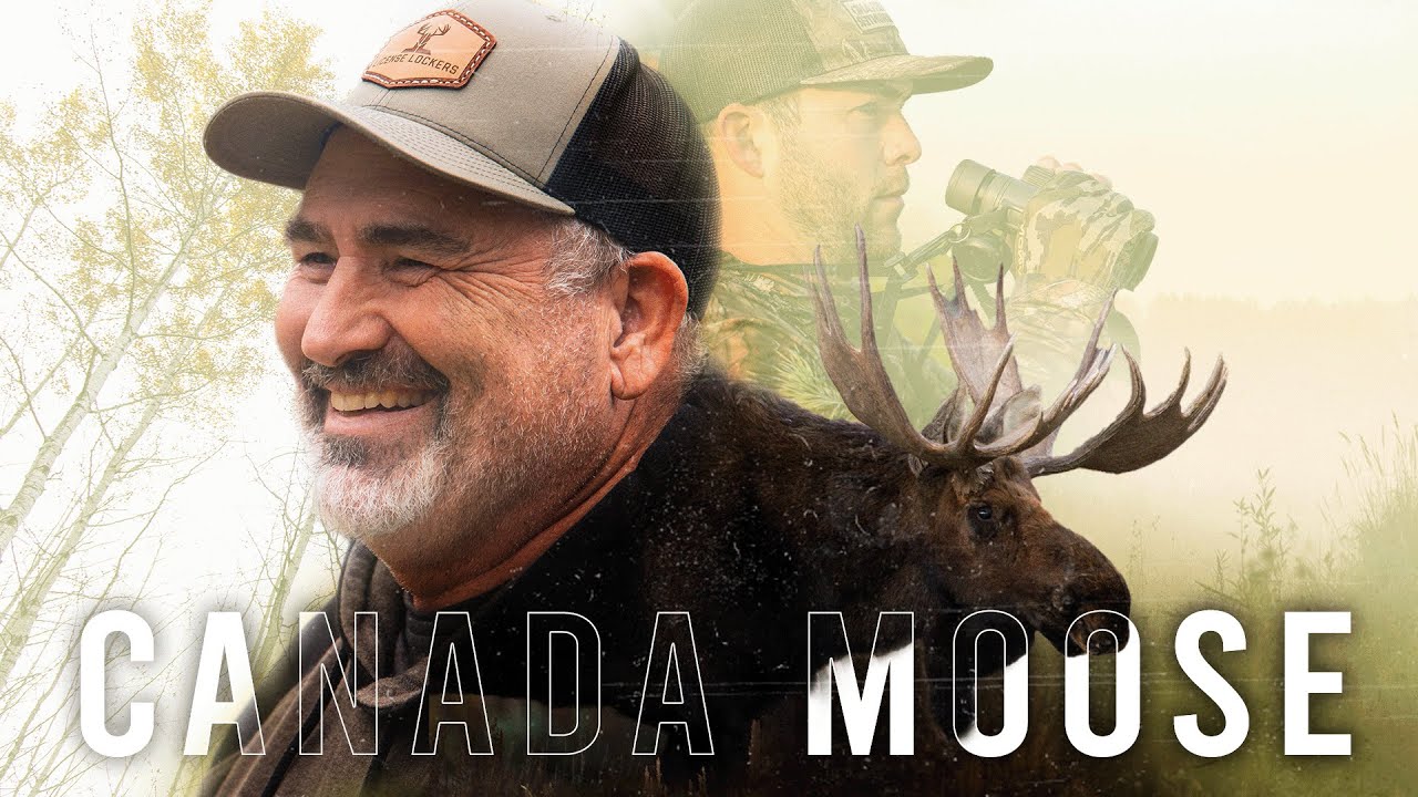 Canada Moose Hunting! Two Tags Filled and First Moose Ever! - YouTube