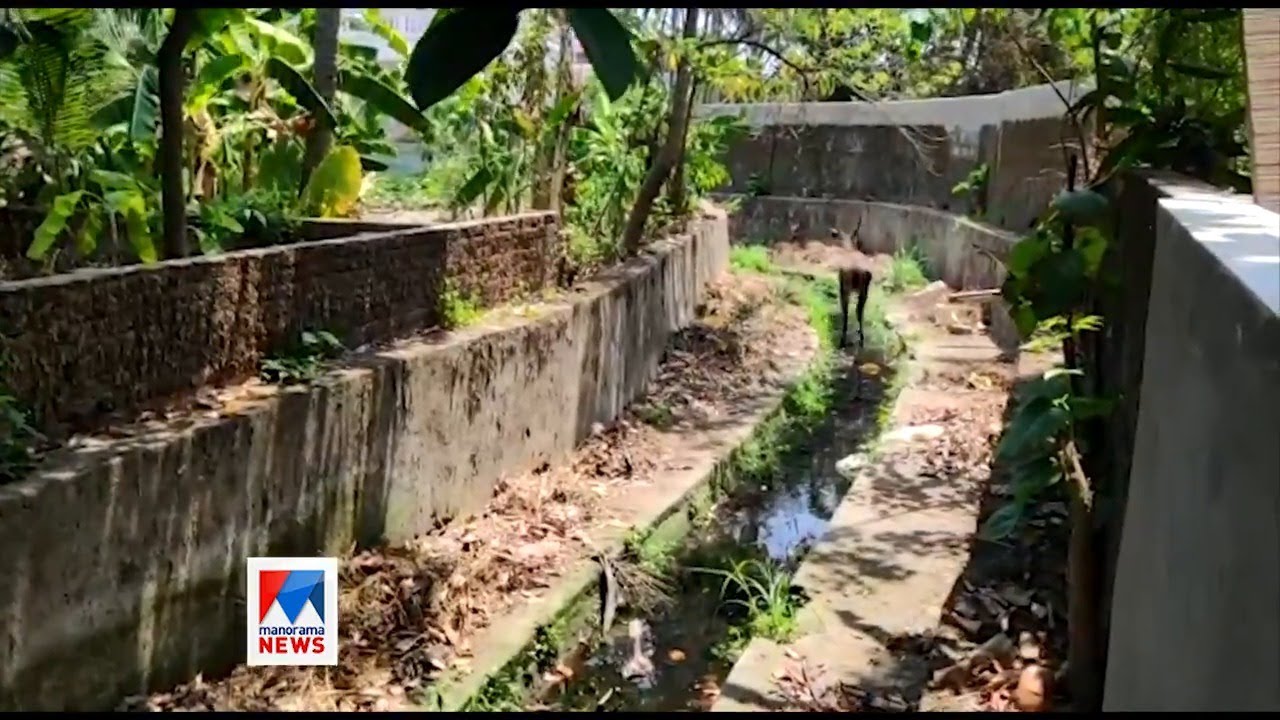 കാട്ടില്‍ വരള്‍ച്ച; വന്യമൃഗം നഗരത്തില്‍; പരിഭ്രാന്തിയില്‍ ചാലക്കുടി ...
